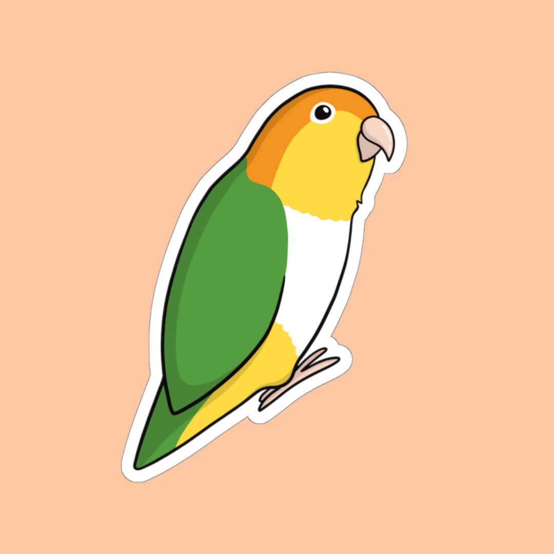 Cute Caique Sticker | Parrot Stickers, Cute Bird Stickers, Birb Laptop ...