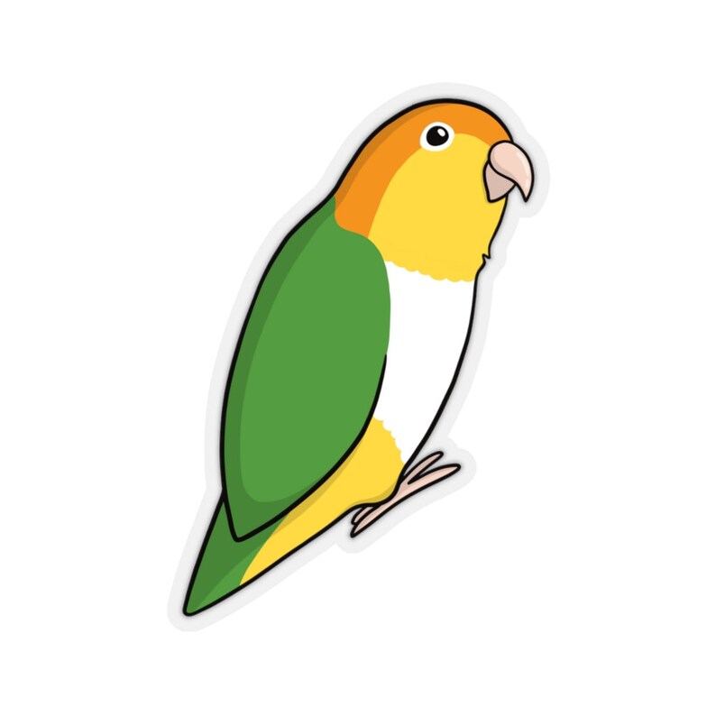 Cute Caique Sticker Parrot Stickers Cute Bird Stickers - Etsy