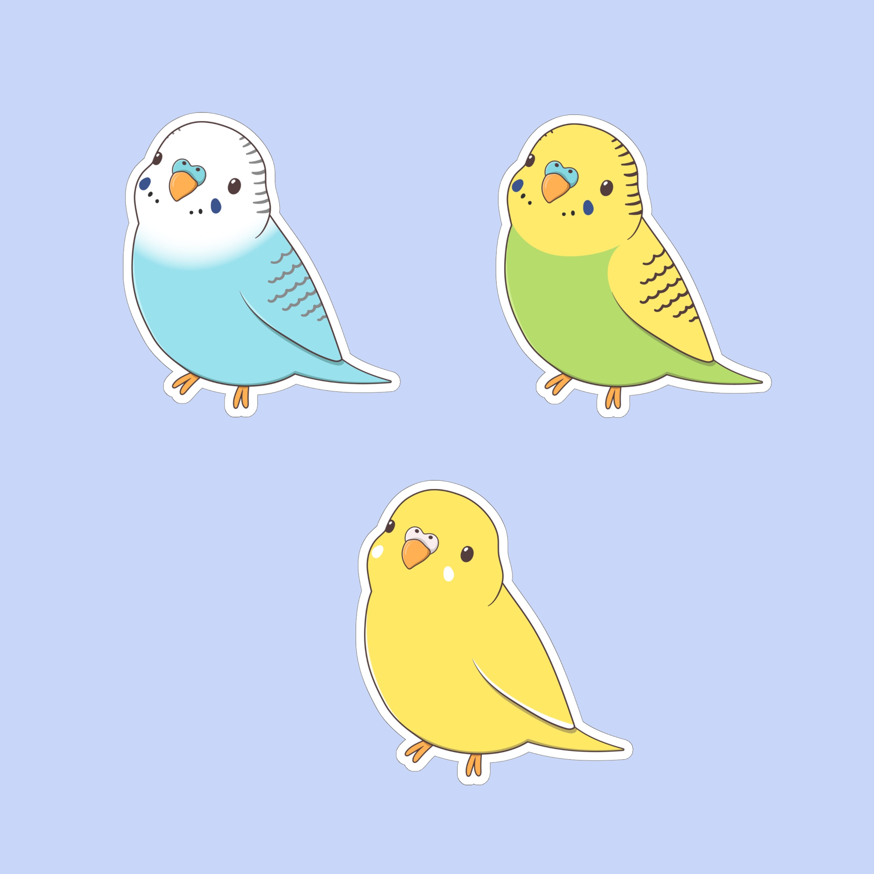 Budgie Sticker blue/green/yellow Color Option Cute Bird - Etsy