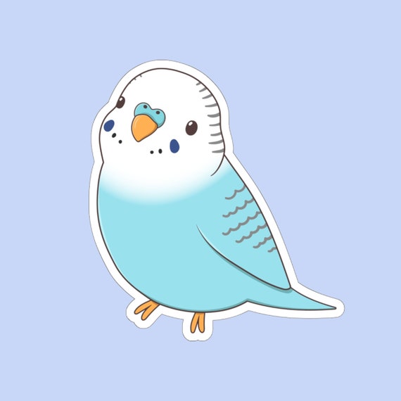 Blue Budgie
