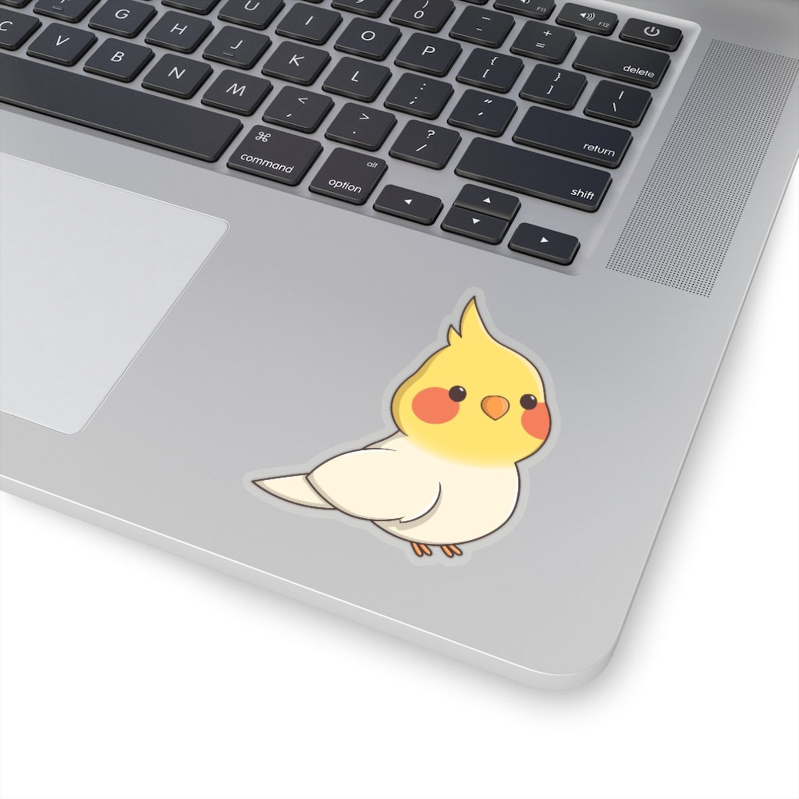 Cute Cockatiel Sticker - Etsy