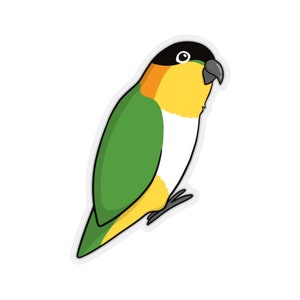 Cute Caique Sticker | Parrot Stickers, Cute Bird Stickers, Birb Laptop ...