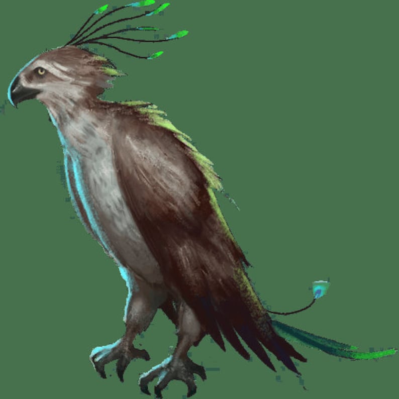 AUGUREY FEATHERS Fantasy Ingredient to Magic Potions / Fantastic Beast ...