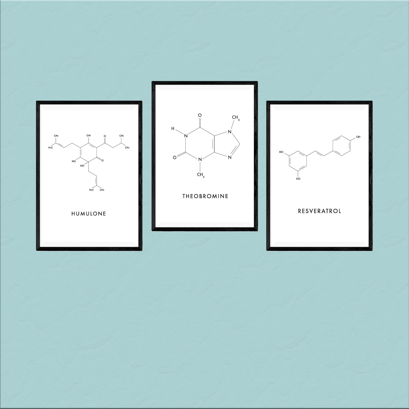 Humulone Beer Hops Molecule Structure Digital Download - Etsy