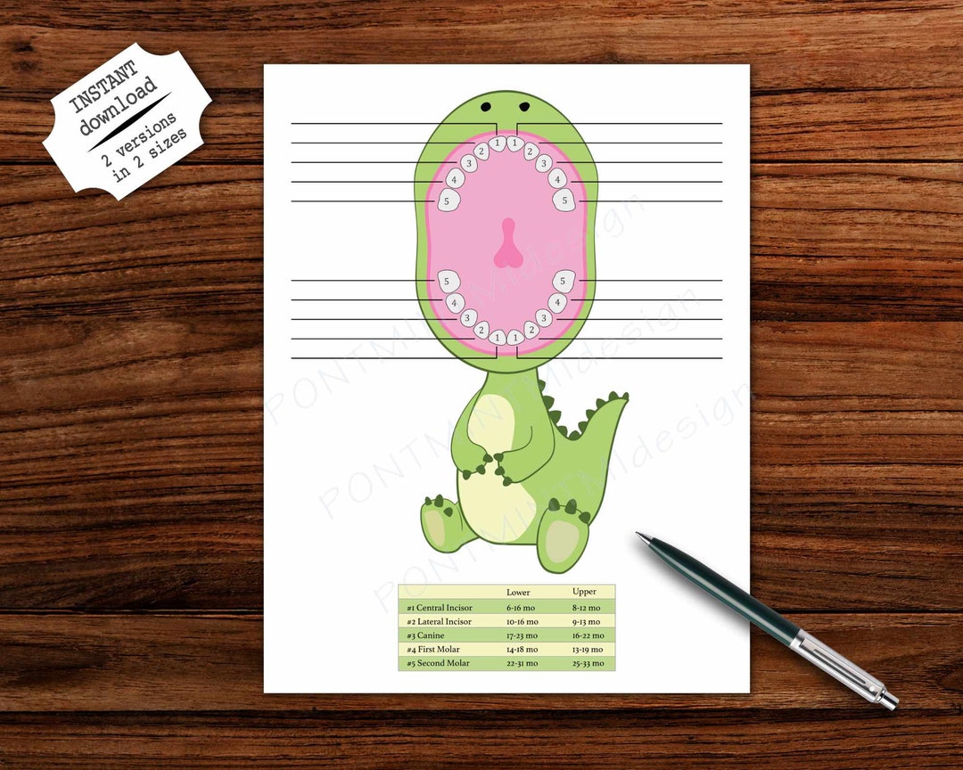 Baby Tooth Chart Crocodile Tooth Eruption Map 0-3 Years - Etsy