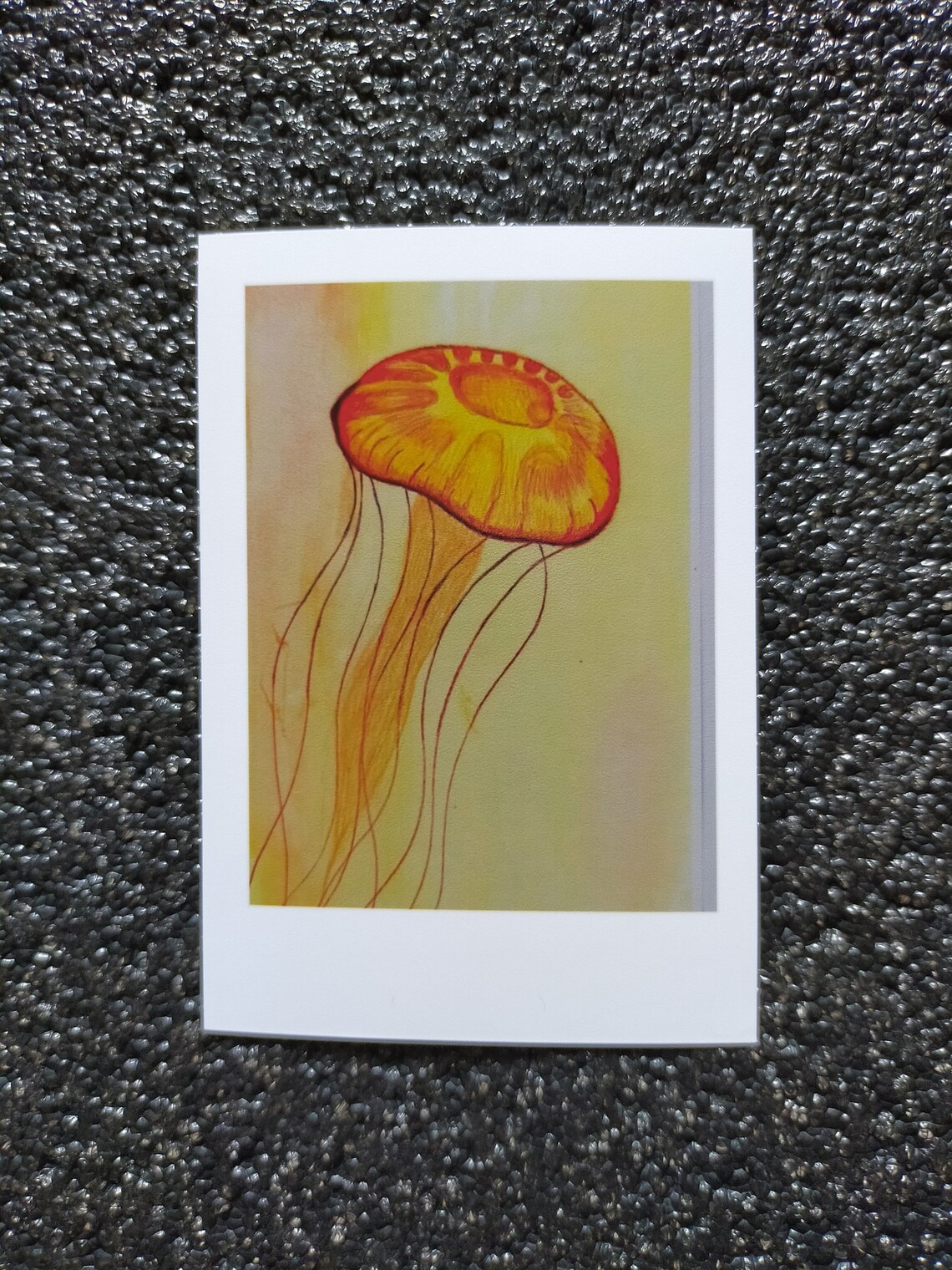 Mini Polaroid Trio - Etsy