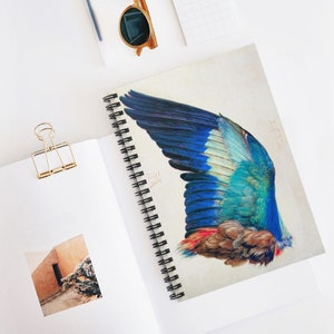 Wing of a Blue Roller by Albrecht Durer 1512 Bird Anatomy Science ...