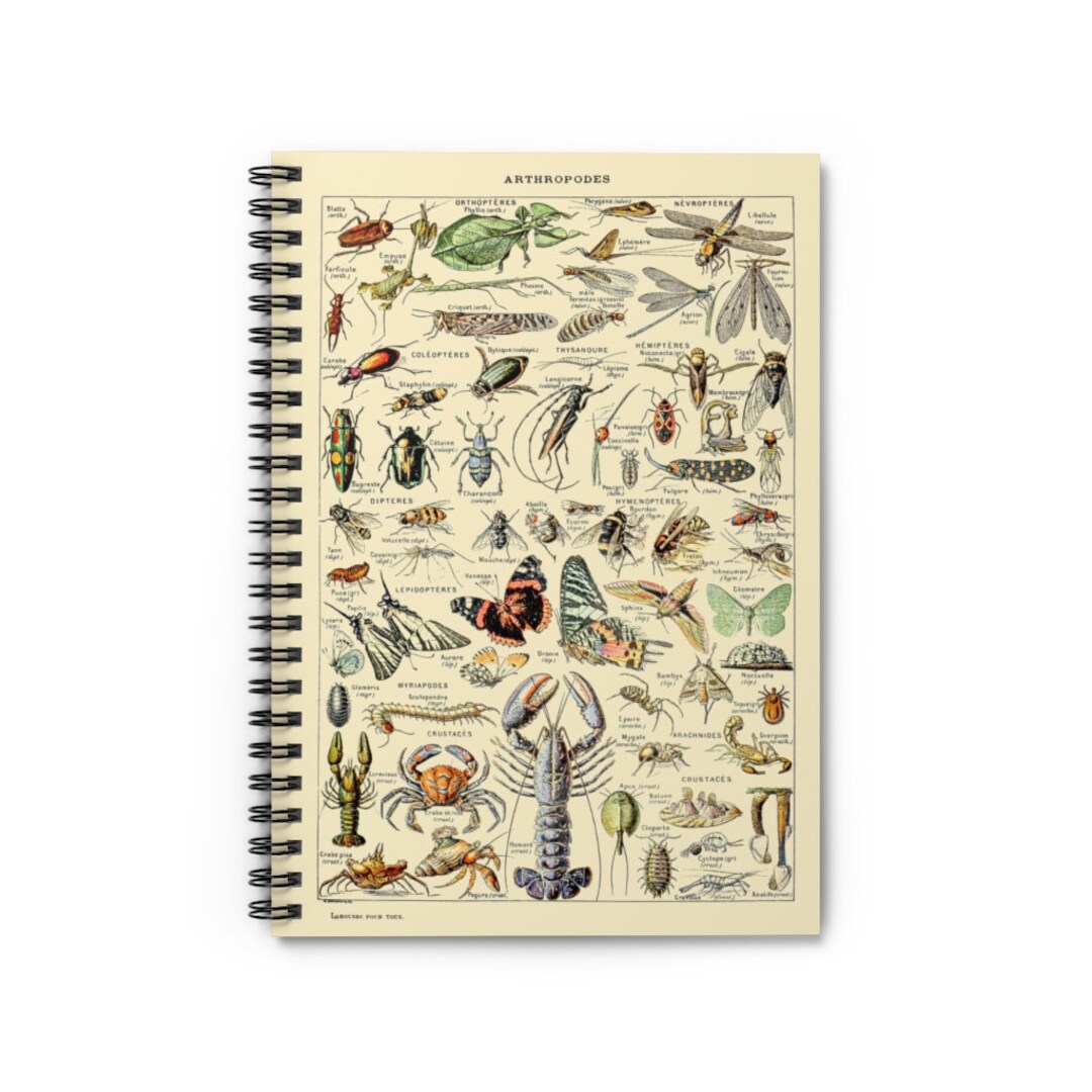 Arthropodes by Adolphe Millot 1857-1921 Insect Bug Identification ...