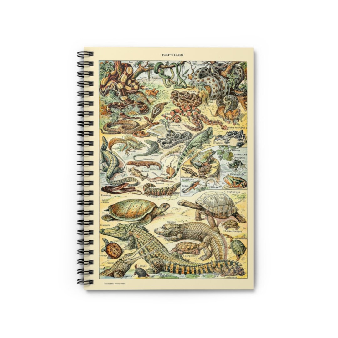 Reptiles II by Adolphe Millot 1857-1921 Snake Alligator Iguana Lizard ...