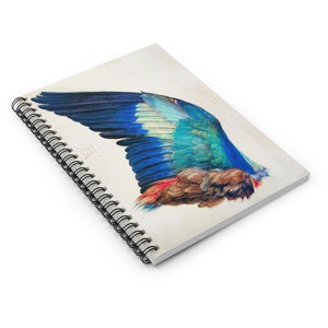 Wing of a Blue Roller by Albrecht Durer 1512 Bird Anatomy Science ...