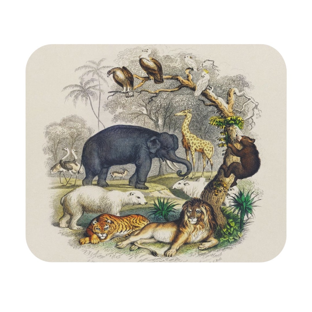 A History of the Earth and Animated Nature by Oliver Goldsmith 1728 ...