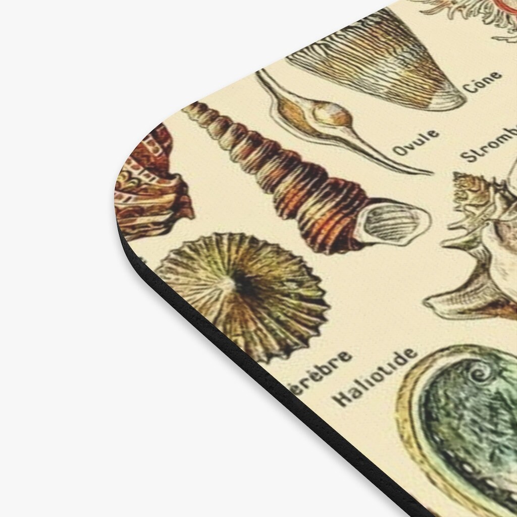 Mollusques by Adolphe Millot 1857-1921 Seashell Costal Beach - Etsy