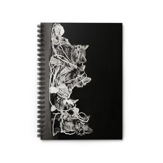 The Entanglement by Harry Frees 1914 Kittens Tangled in Yarn - Etsy