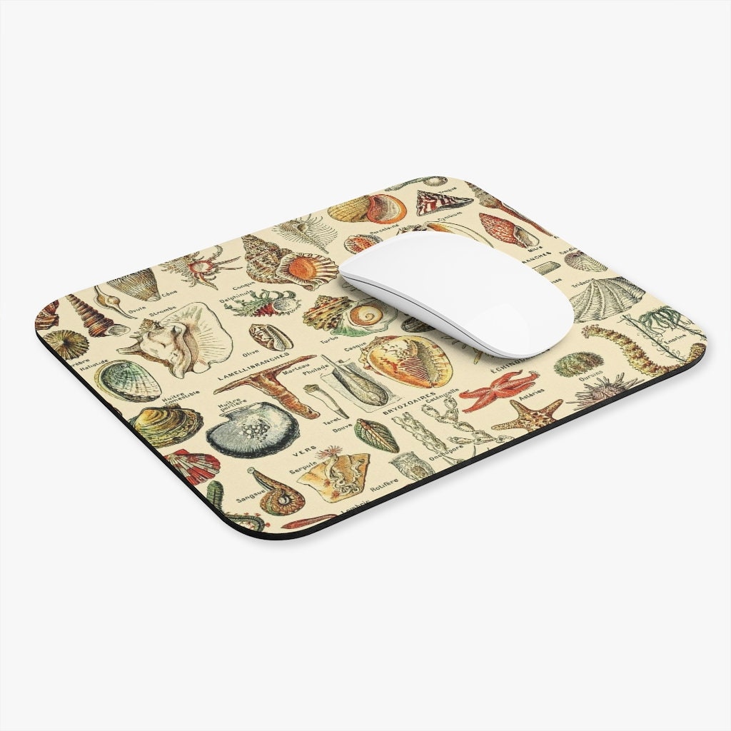 Mollusques by Adolphe Millot 1857-1921 Seashell Costal Beach - Etsy