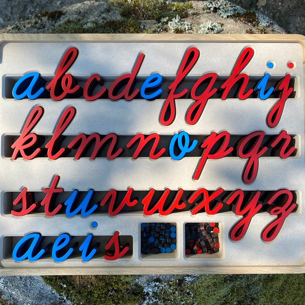 Montessori Alphabet - Etsy