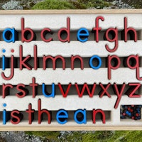 Montessori Movable Alphabet Printable Alphabet Digital Alphabet ...