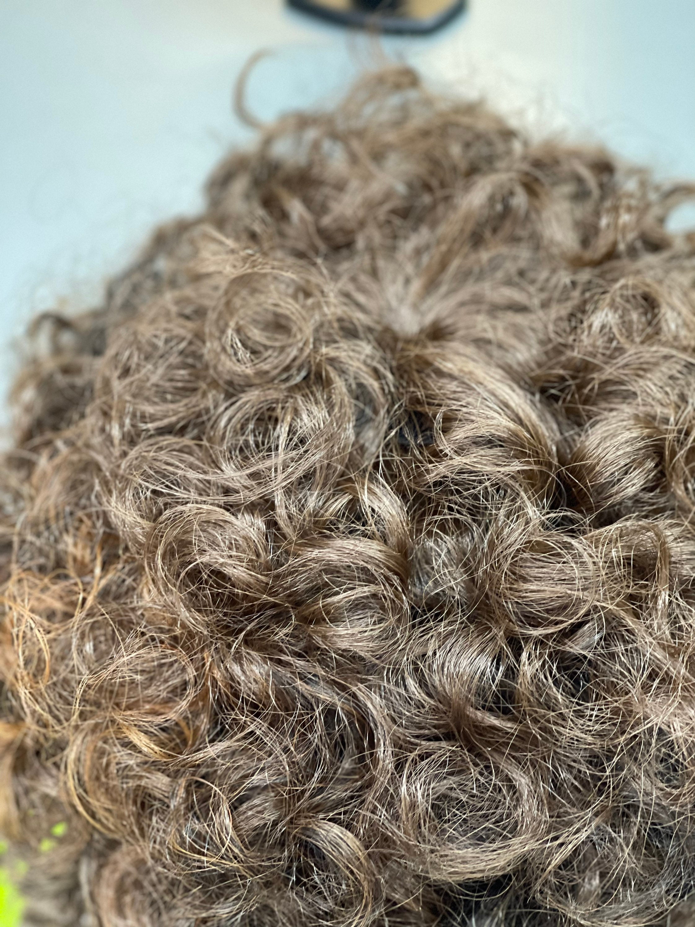 Large Curls 8 in Full Wig - Etsy