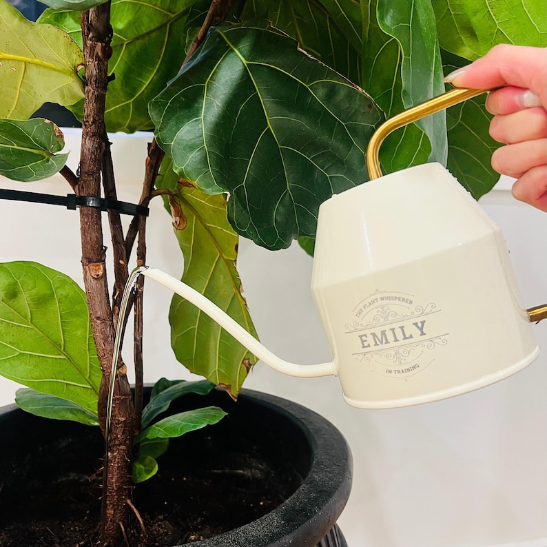 Personalised Garden Watering Can, Custom Engraved Flower Plant Tool ...
