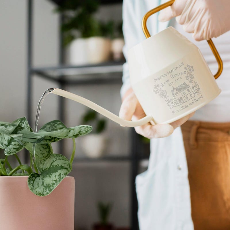 Large Watering Can Vase - Etsy