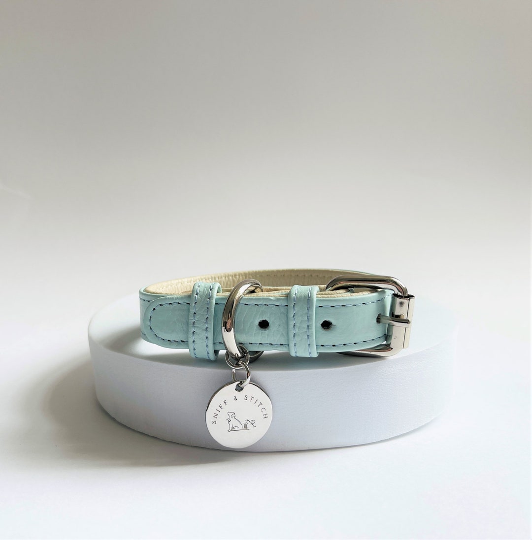 Aquamarine Traditional European Leather Dog Collar - Etsy