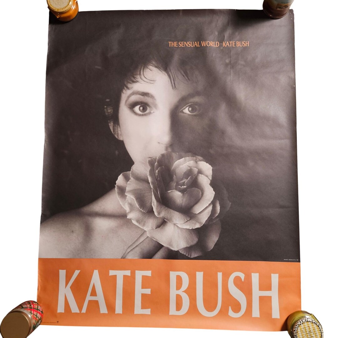 Kate Bush the Sensual World Vintage 1989 Album Promo Poster Large ...