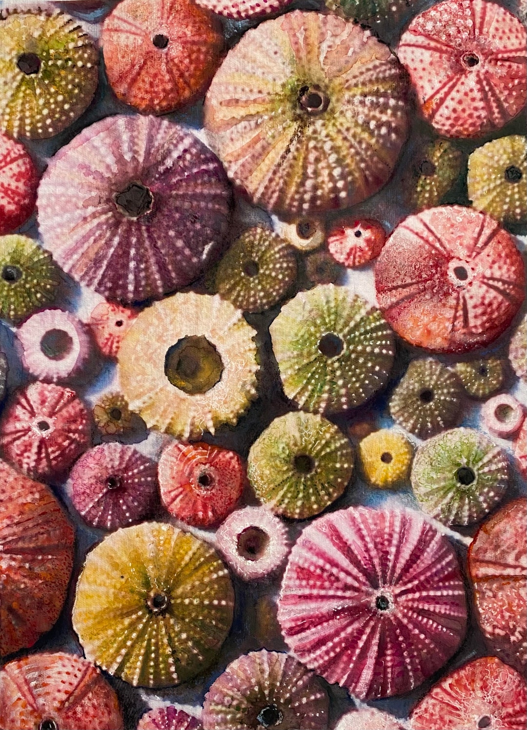 Original Art, Sea Urchin Painting, Realism, Expressionism, Sea ...