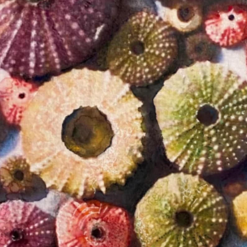 Realistic Sea Urchin Painting, Original Coastal Ocean Shell Art ...