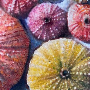 Original Art, Sea Urchin Painting, Realism, Expressionism, Sea ...