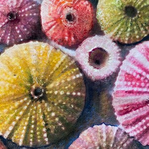 Original Sea Urchin Painting – Hyperreal Coastal Art on Handmade Paper ...