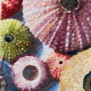 Original Art, Sea Urchin Painting, Realism, Expressionism, Sea ...