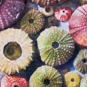 Original Art, Sea Urchin Painting, Realism, Expressionism, Sea ...