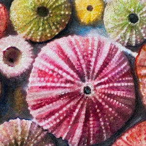 Original Sea Urchin Painting – Hyperreal Coastal Art on Handmade Paper ...