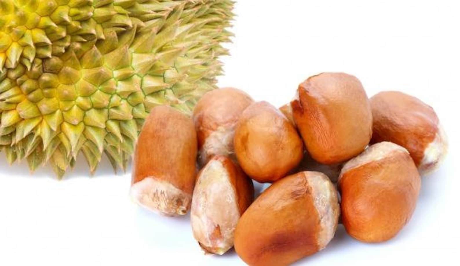 5 Fresh Durian Seeds and King of Fruits in the world/Durio | Etsy