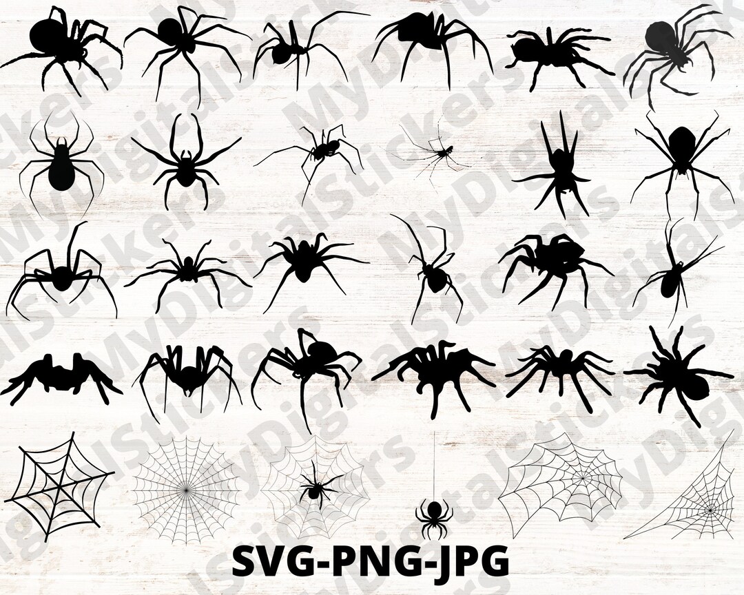 HALLOWEEN SPIDER SVG Spider Clipart Halloween Svg Files for - Etsy