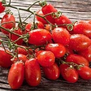 Lot of 3 Red Tomato Plants San Marzano Red Pear Shaped Tomato Live ...