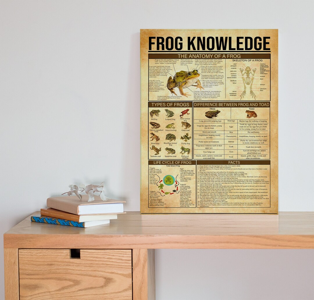 Frog Knowledge Poster, Types of Frog Wall Art, the Anatomy of A Frog ...