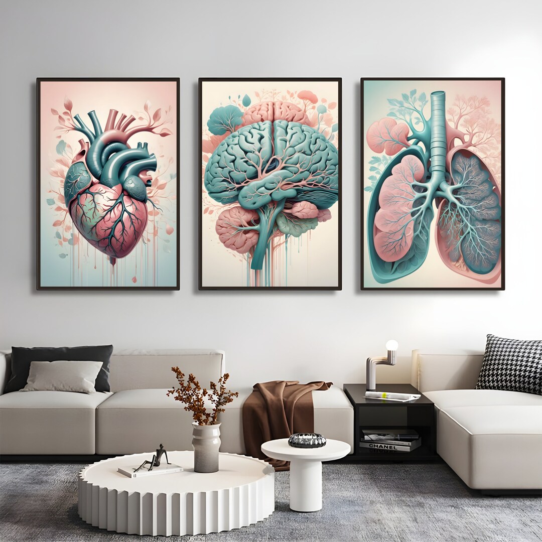 Set of 3 Pastel Anatomy Posters, Brain Heart Lungs Wall Art Decor ...
