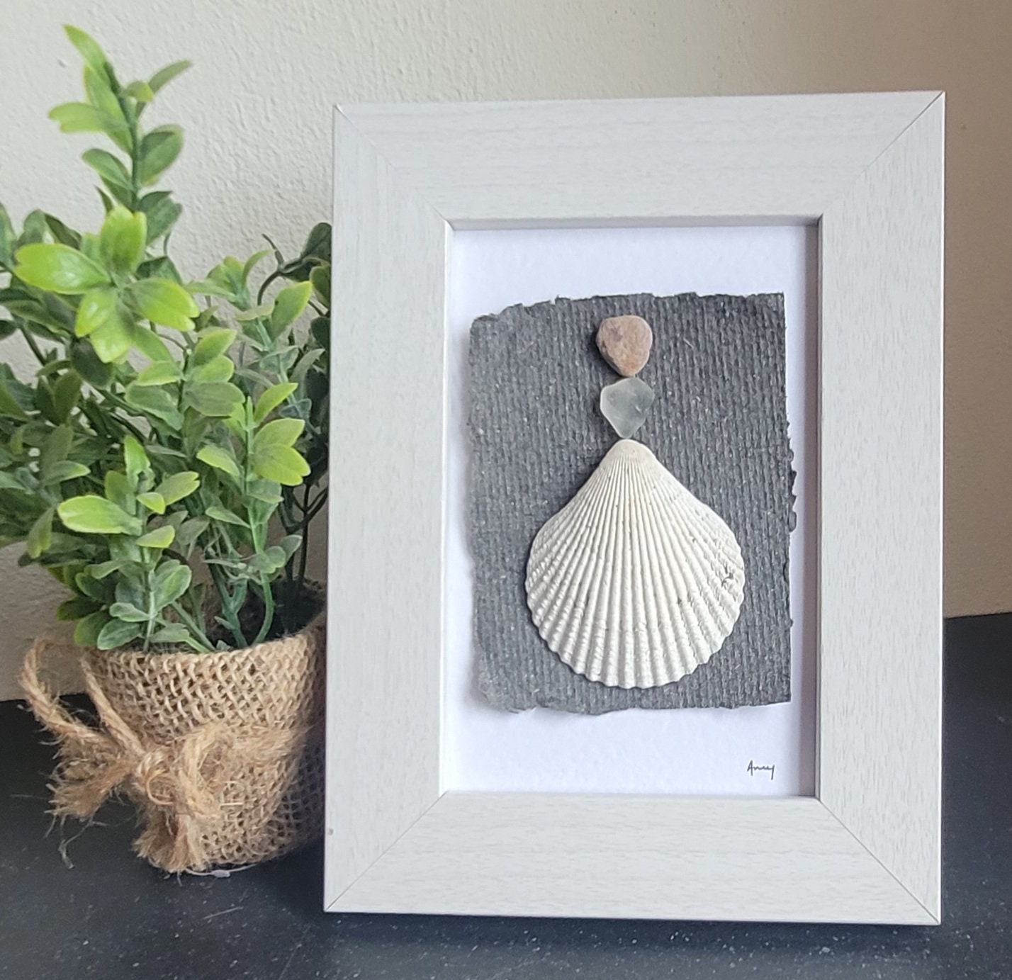 Framed Seashell Artwork