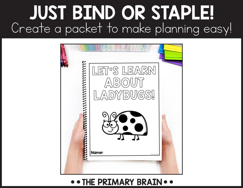 Ladybug Activities Packet: Kindergarten & First Grade Lesson Plans - Etsy
