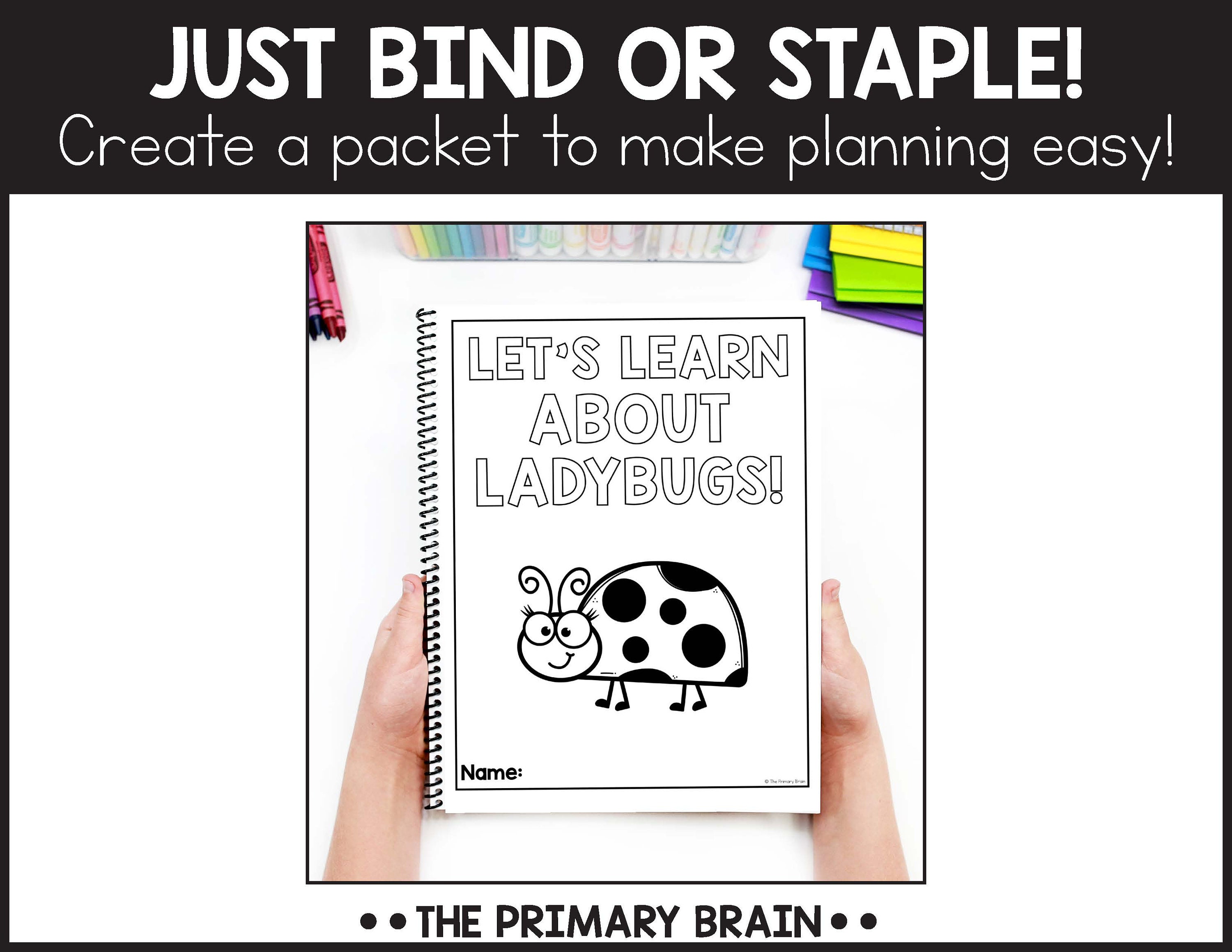 Ladybug Activities Packet: Kindergarten & First Grade Lesson Plans - Etsy