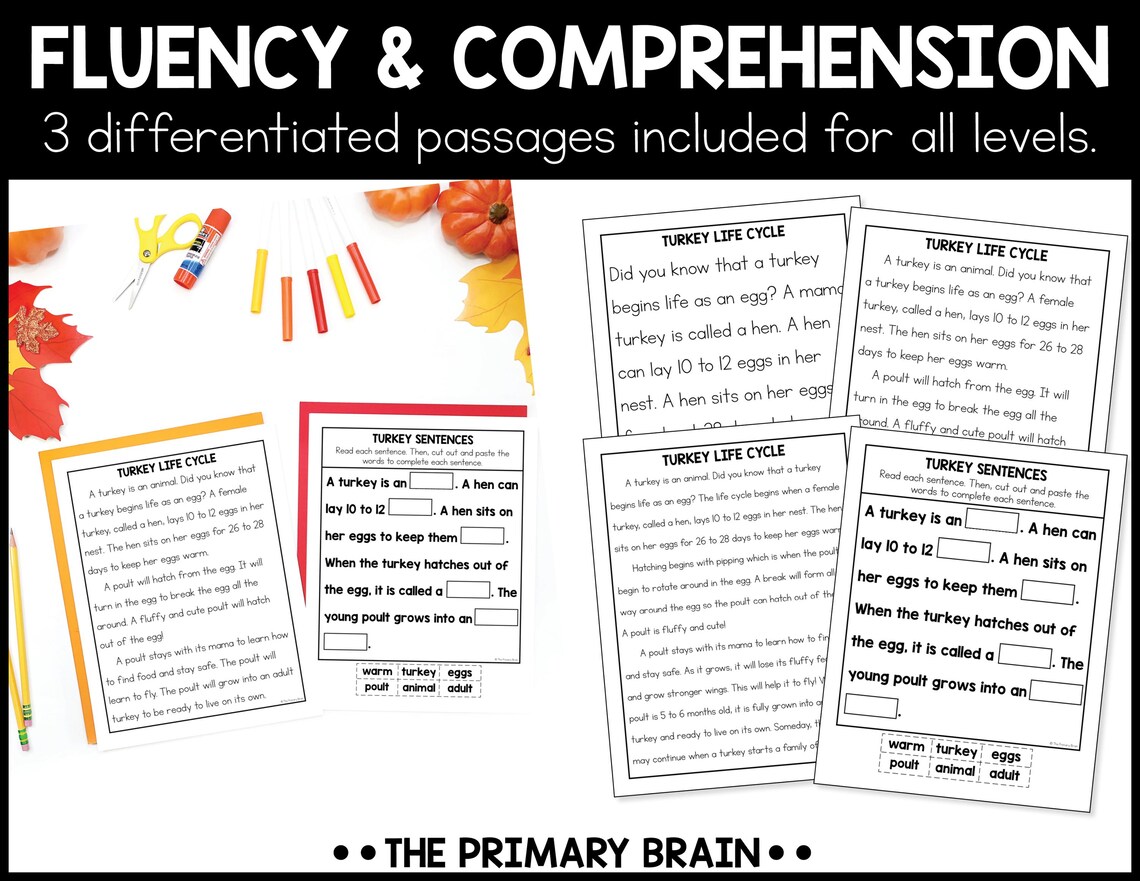 Turkey Thanksgiving Activities: Kindergarten & First Grade (no Prep ...