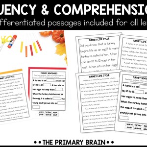 Turkey Thanksgiving Activities: Kindergarten & First Grade (no Prep ...