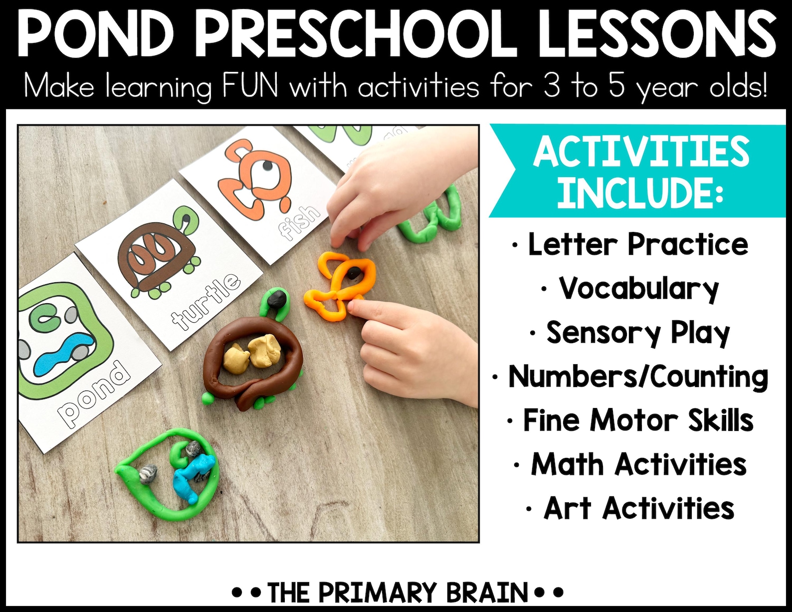 Pond Life Cycle Preschool Curriculum With Lesson Plans: 23 Activities ...