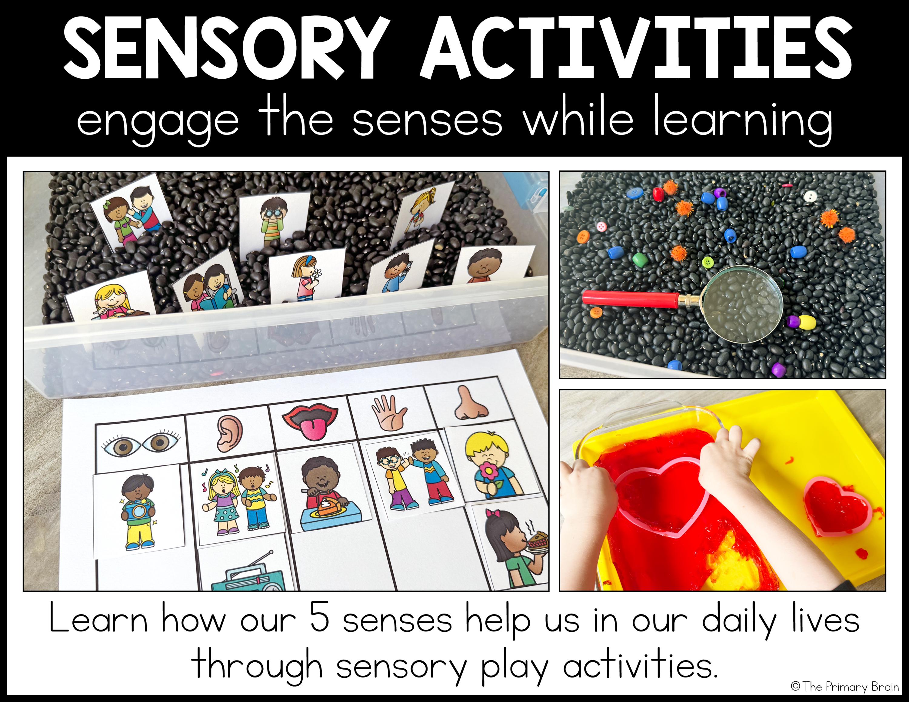 5 Senses Preschool Activities: Preschool & Prek Lesson Plans and ...