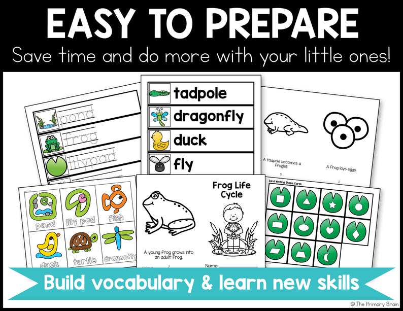 Pond Preschool Lesson Plans and Curriculum | Frog Life Cycle Activities ...