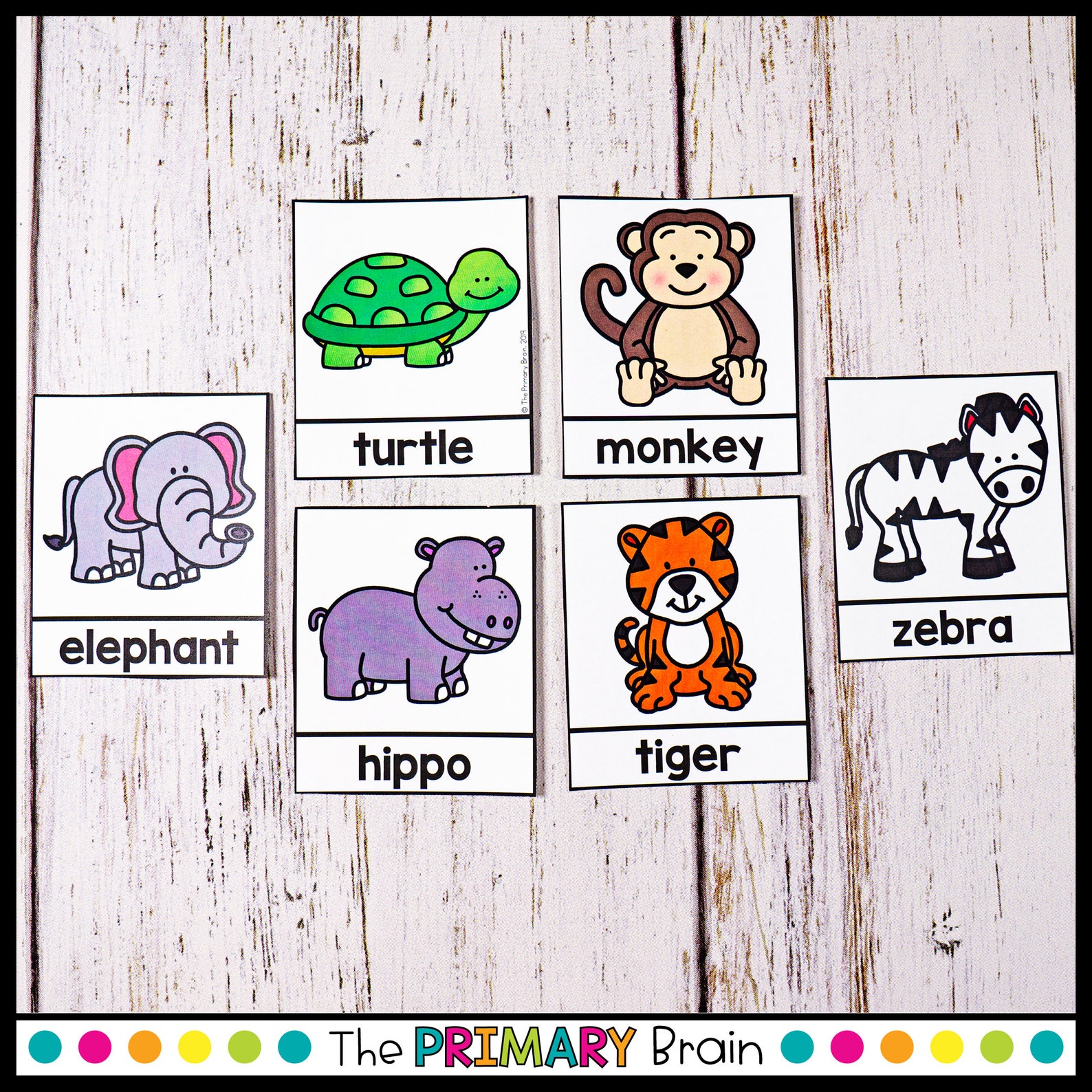 Zoo Toddler Activities Tot School Lesson Plans Homeschool - Etsy