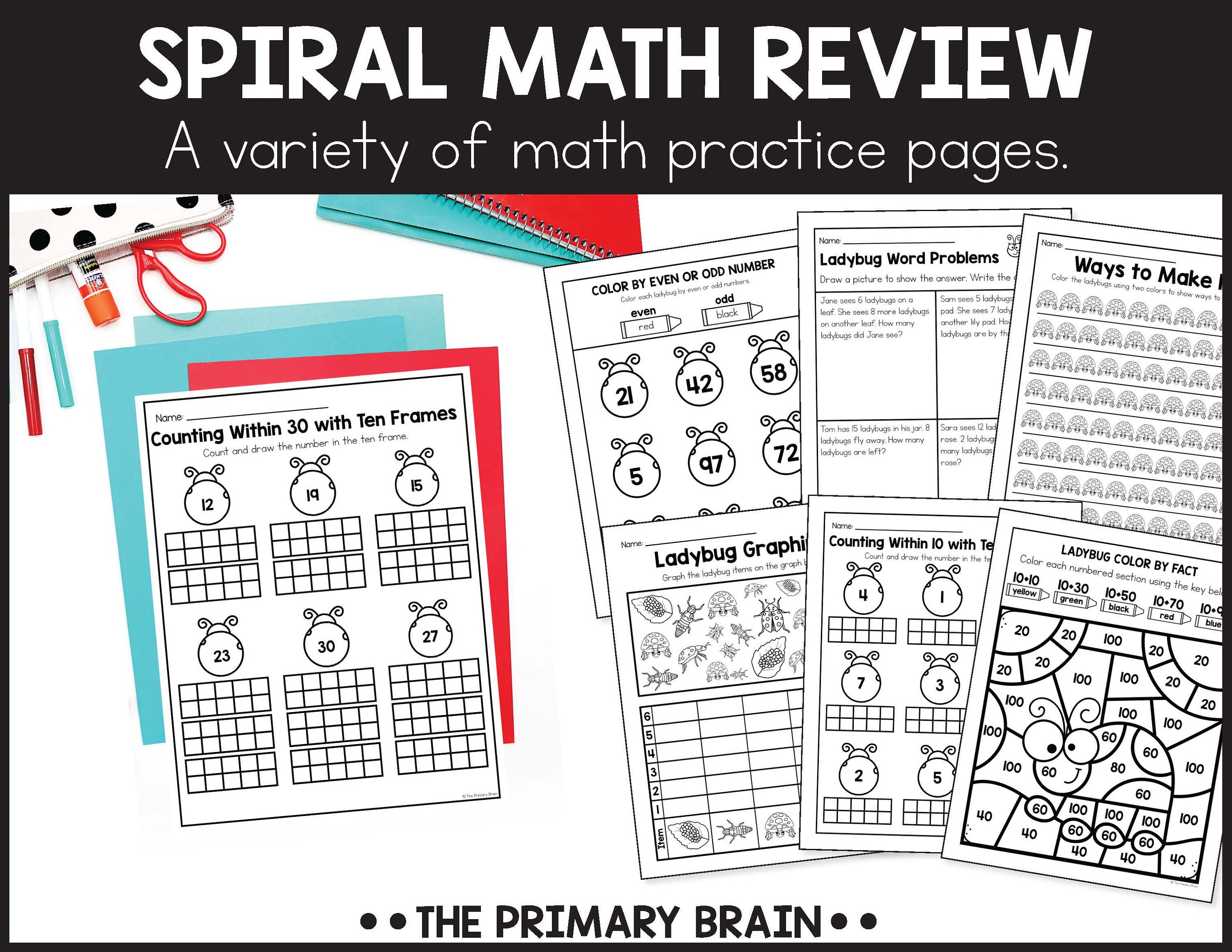 Ladybug Activities Packet: Kindergarten & First Grade Lesson Plans - Etsy