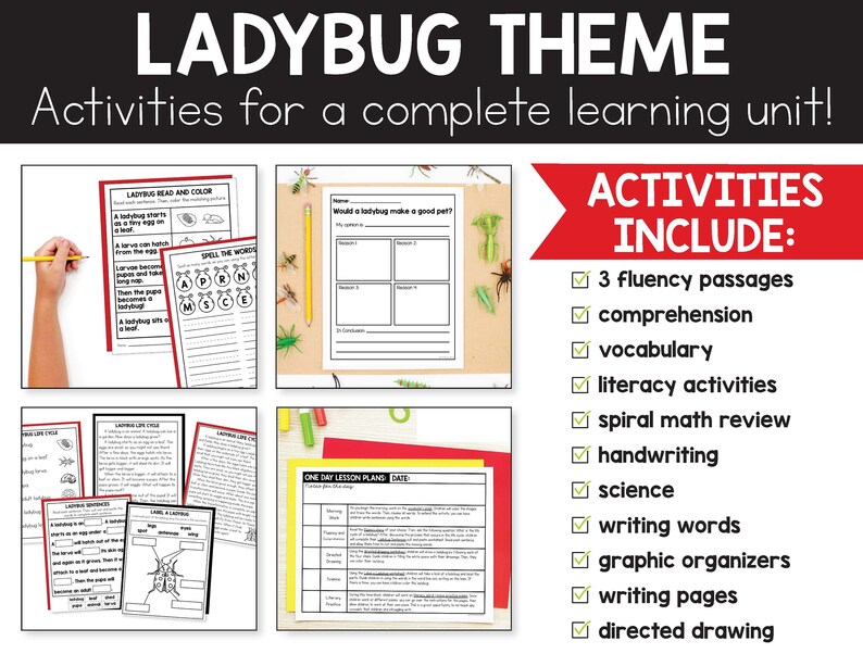 Ladybug Activities Packet: Kindergarten & First Grade Lesson Plans - Etsy