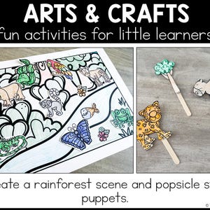 Rainforest Preschool Activities | Pre-k Homeschool Preschool Curriculum ...