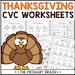 CVC Words Coloring Pages | Phonics Coloring Book Practice Worksheets - Etsy